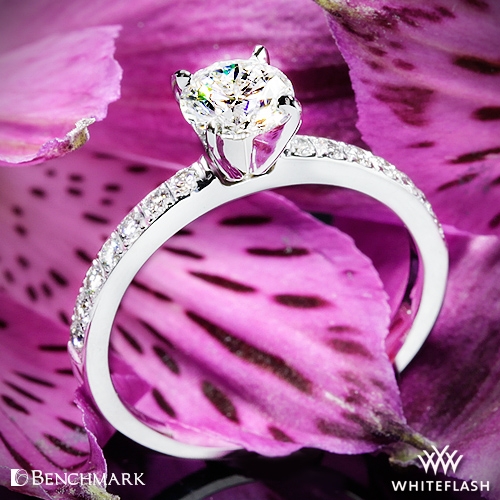 Benchmark Large Pave Diamond Engagement Ring - Wh... | 3640