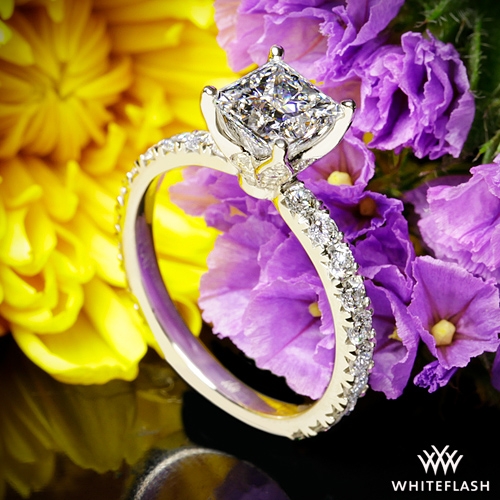 Phenomenal work from Whiteflash | 3386