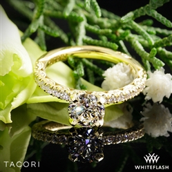 Excellent Experience Ordering Through Whiteflash. | 3705