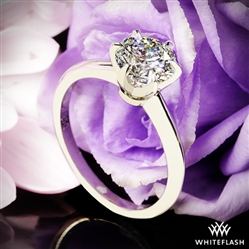 Phenomenal work from Whiteflash | 3386