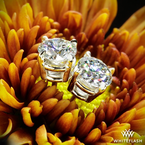 Whiteflash Customer Reviews and Testimonials